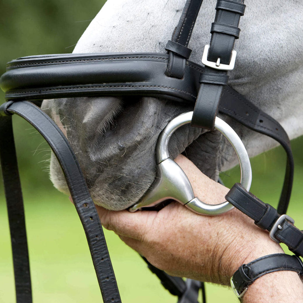 Bits & Accessories – M & M Tack Shop