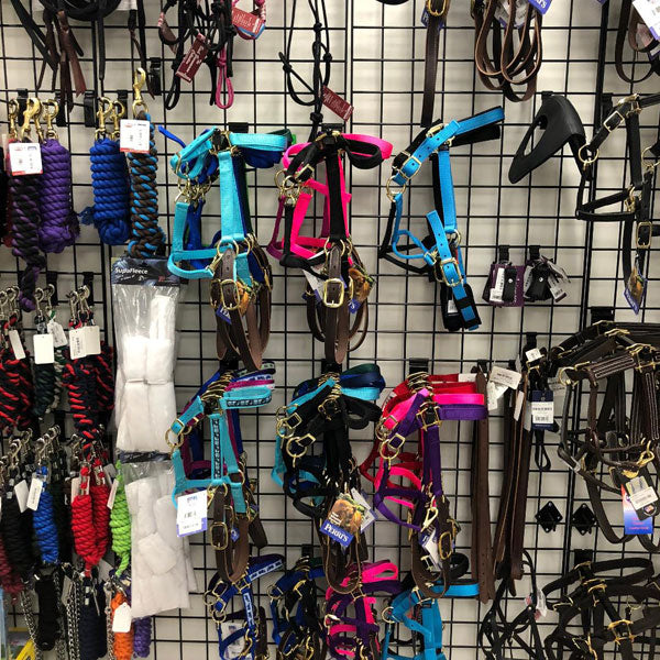 Halters & Leads – M & M Tack Shop