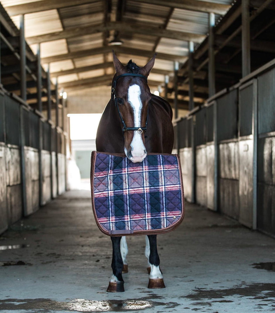 LeMieux Footsie Sock, Flying Pigs – M & M Tack Shop