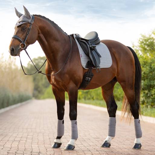 M & M Tack Shop, Serving Horses and Their People Since 1991