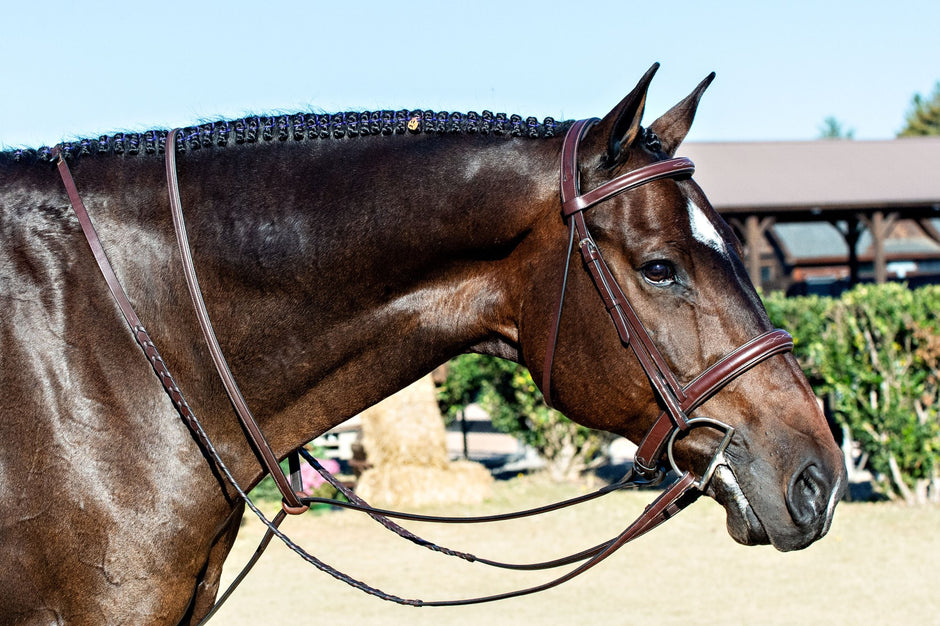 Charles Owen Boyd Martin MS1 Pro Jockey Skull Helmet Large Shell – M ...