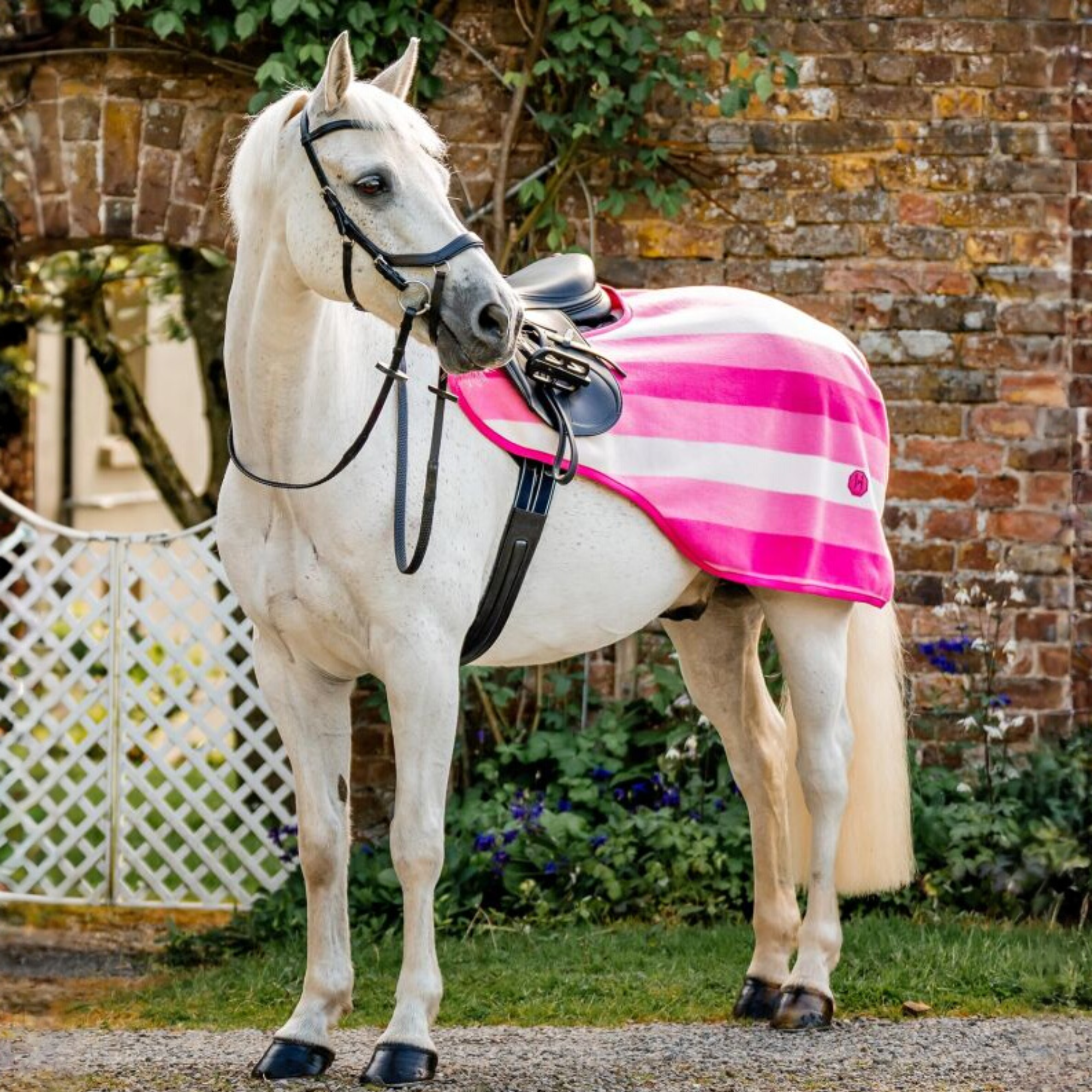 Horseware Newmarket Exercise Sheet, Witney Pink – M & M Tack Shop